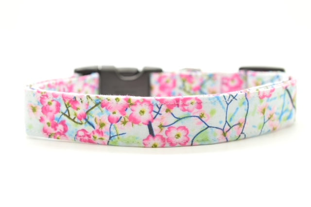Spring Flowers Collar – Dog Collar World