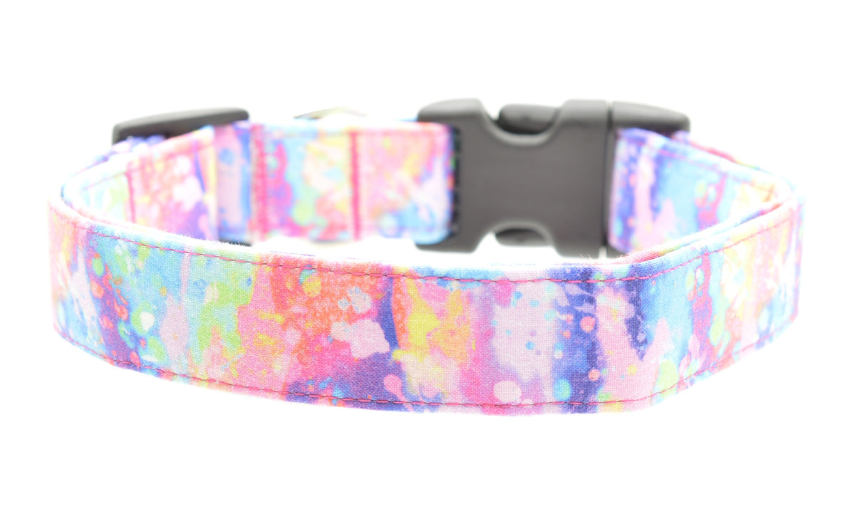 Paint Splatter Collar – Dog Collar World